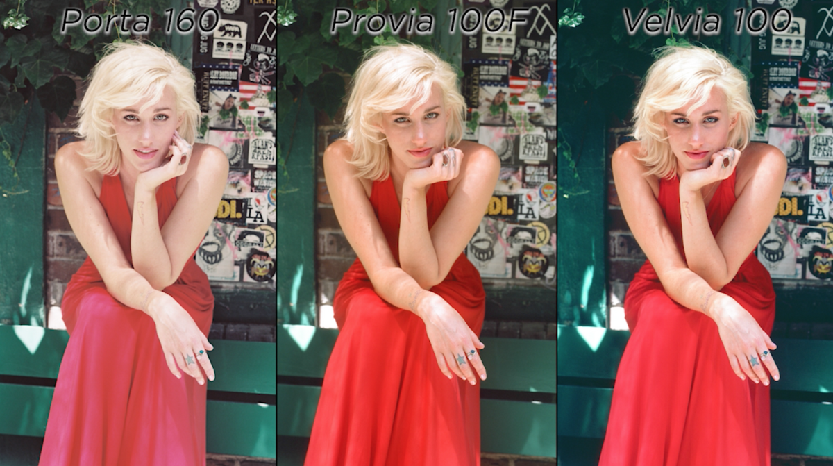 Slide Film vs Color Negative: Portra 160, Provia 100F & Velvia 100 ...