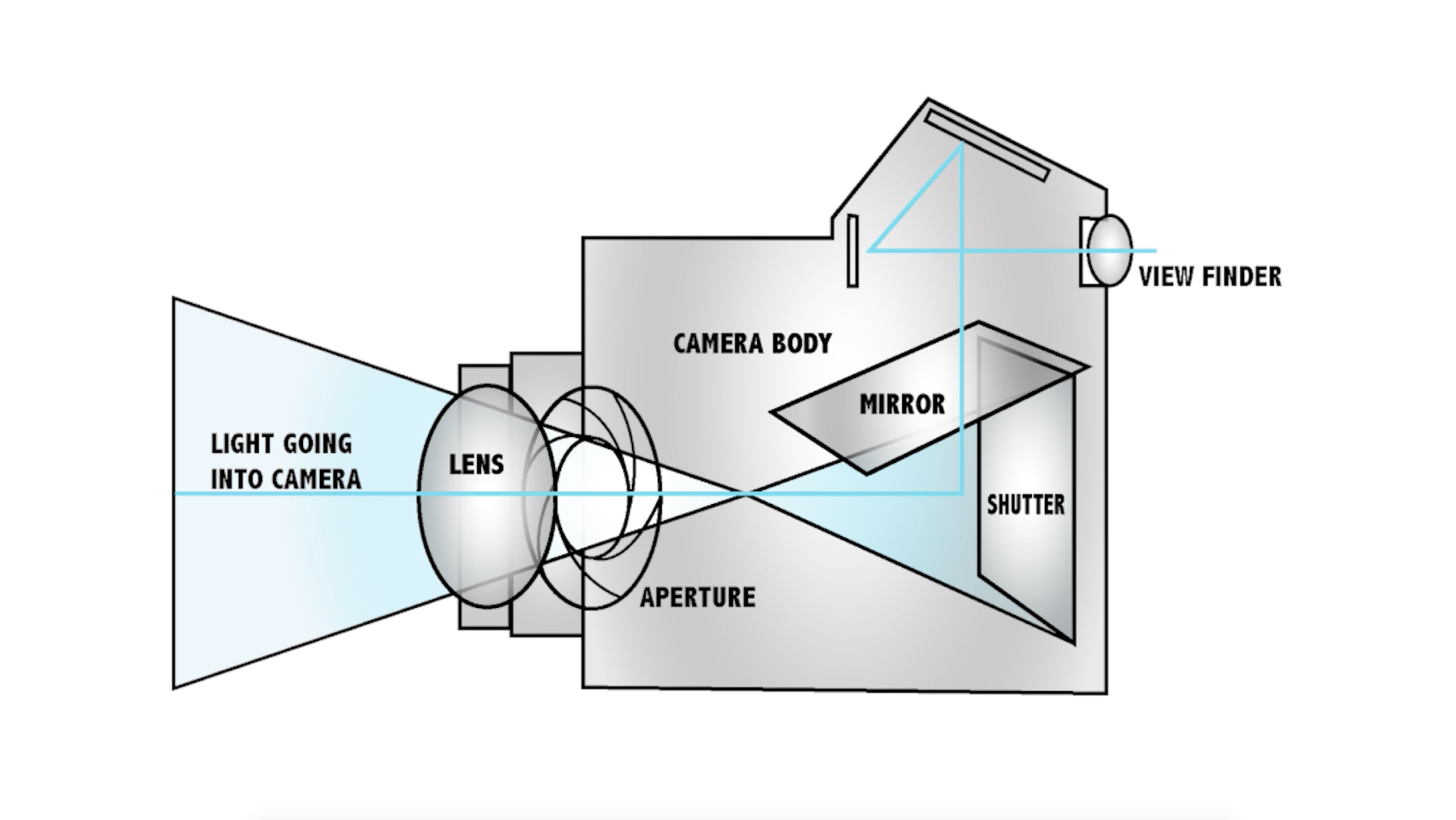 Camera Basics: How To Understand Aperture - The Slanted Lens