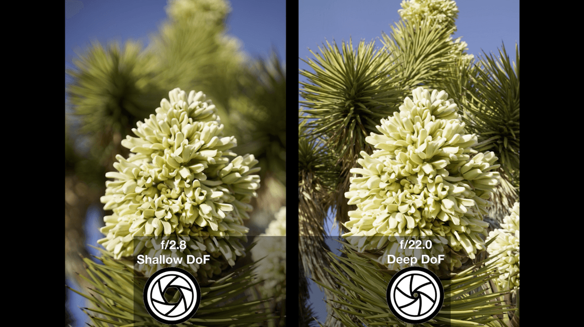 The Key To All Camera Settings – Camera Basics: Equivalent Exposure ...