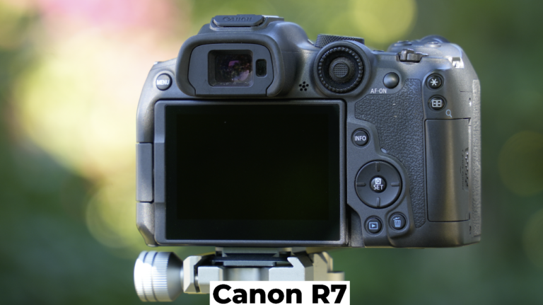 Canon R7 vs Sony a6700, Which Is The Best Mid-Range APS-C Camera? - The ...