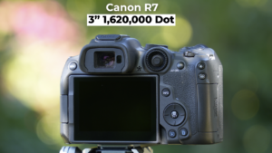 Canon R7 vs Sony a6700, Which Is The Best Mid-Range APS-C Camera? - The Slanted Lens