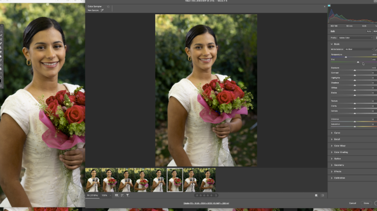 Which Camera System Has The Best Color – Canon, Nikon, Lumix or Sony? - The Slanted Lens